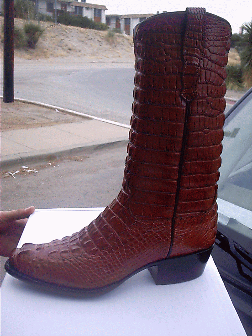 Botas Nueva Vizcaya™ Cognac Gator Boot - Phil's Best Picks
